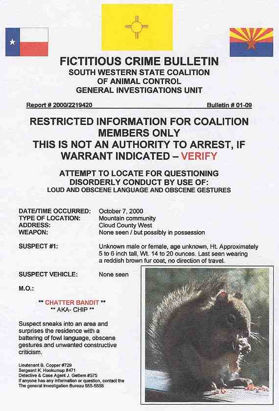 Fictitious Crime Bulletin